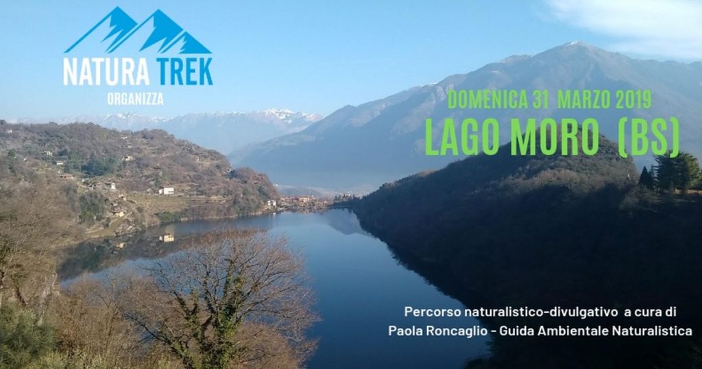 LAGO MORO E CASTELLO DI GORZONE - Escursionismo.it