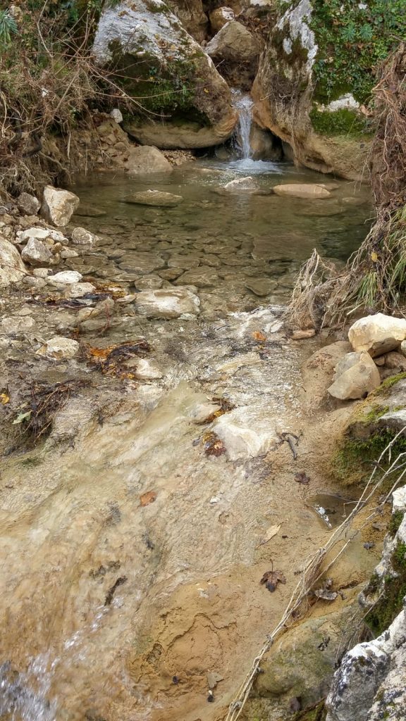 Trekking Bosco della Ficuzza: il Canyon di Valle Agnese - Escursionismo.it