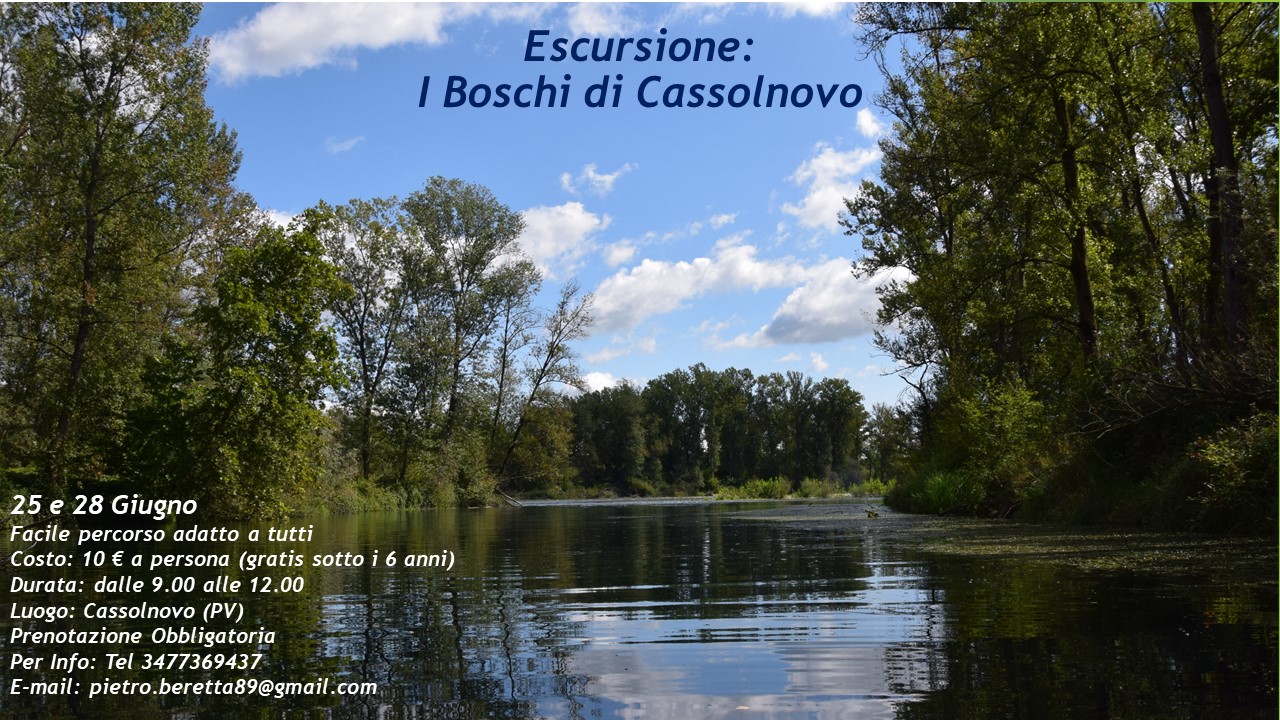 I Boschi di Cassolnovo - Escursionismo.it