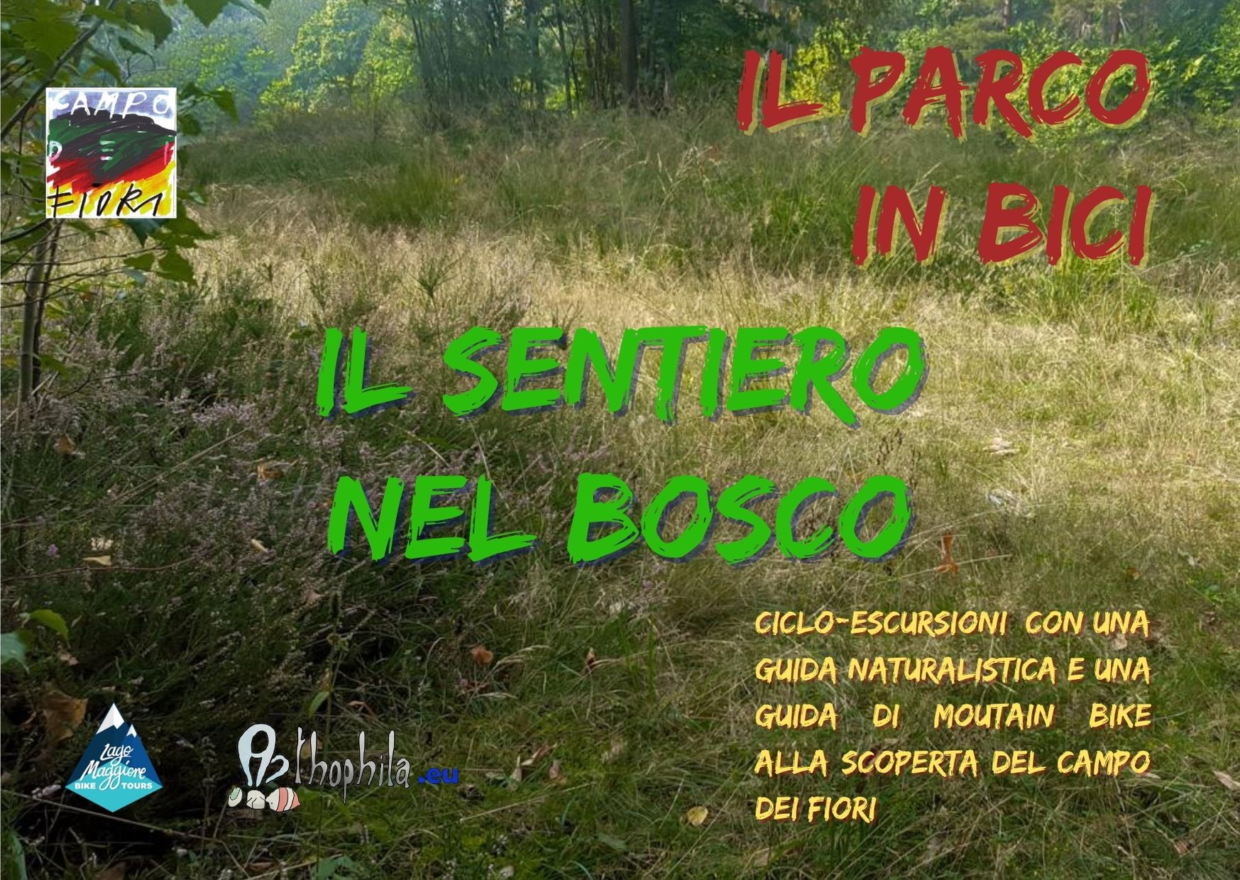 Il Parco in bici - Il sentiero nel bosco - Escursionismo.it