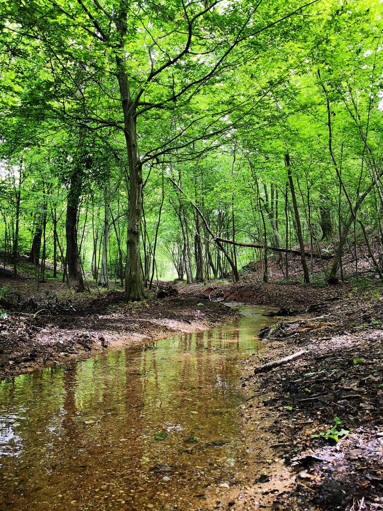 LE MERAVIGLIE DEL MONTELLO - Escursionismo.it