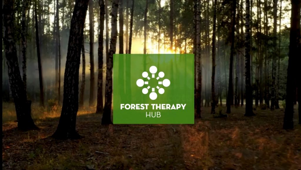 Formazione Online FTHub Guida di Forest Bathing certificata ...