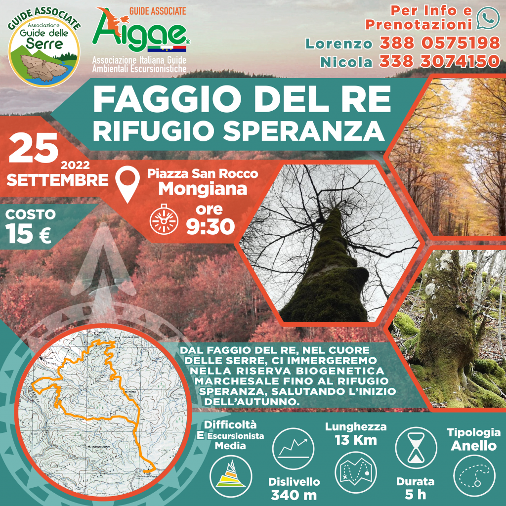 Faggio del Re - Rifugio Speranza - Escursionismo.it