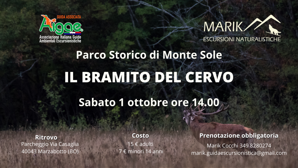 Il bramito del Cervo - Escursionismo.it
